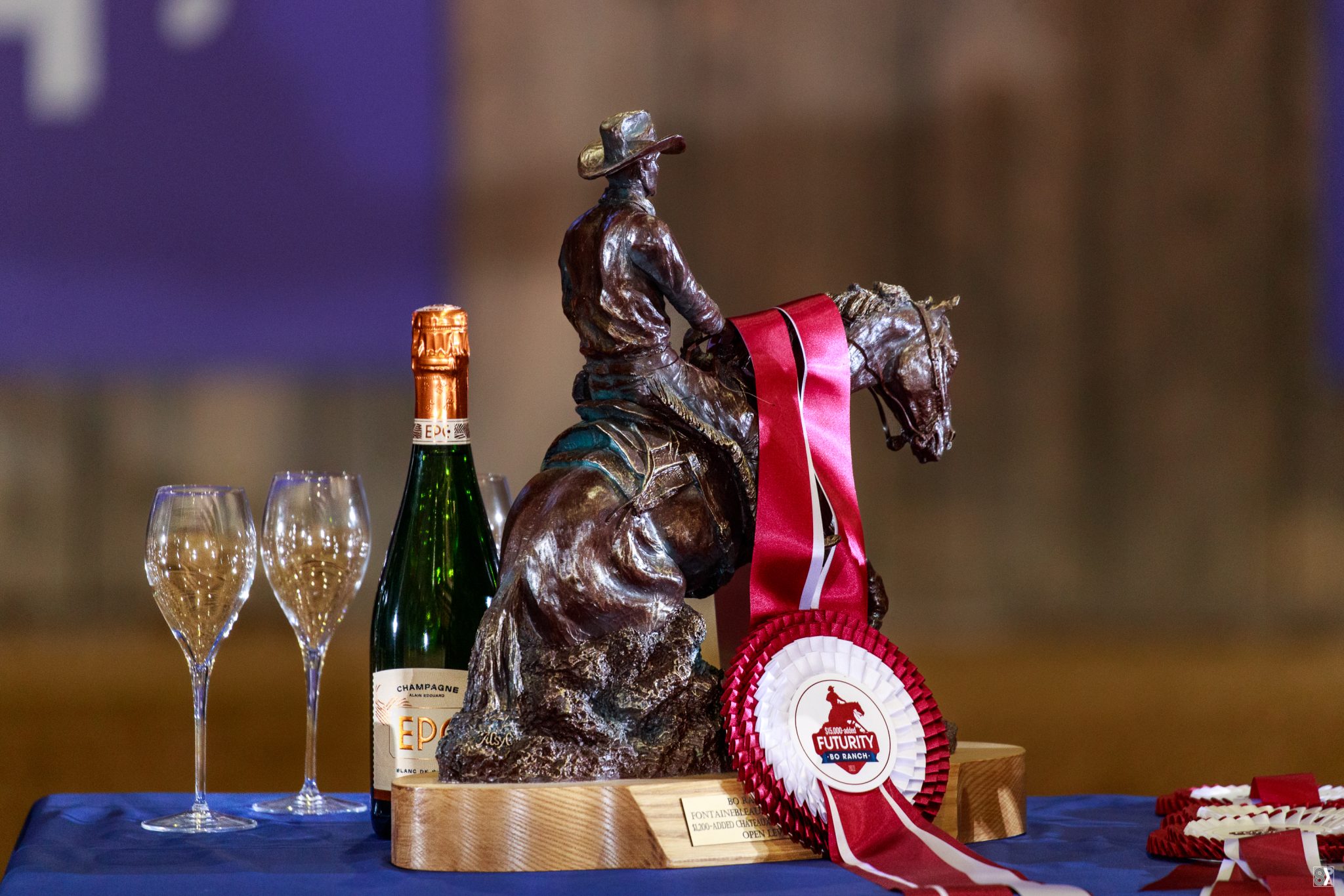 Lone Star Show Management – Reining at it's best