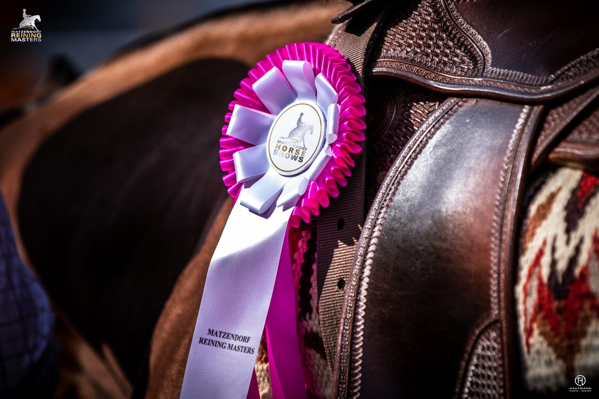 Lone Star Show Management – Reining at it's best